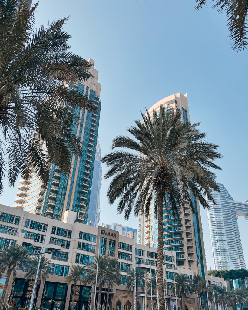Company Liquidation and Closure in the UAE: Mainland, Free Zone, and ...